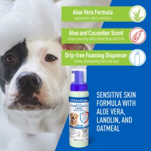 Adams Plus Flea & Tick Foaming Shampoo & Wash for Dogs & Puppies Over 12 Weeks | Sensitive Skin Flea Treatment for Dogs and Puppies | Kills Adult Fleas, Ticks, and Lice On Contact | 10 Oz