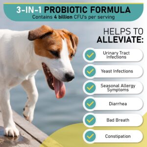 Probiotic Chews for Dogs, Support Digestive Health, Dog Probiotics and Digestive Enzymes, Dog Probiotic Chews, Probiotic Dogs, Puppy Probiotic, Pet Probiotics for Dogs - 120 Soft Chews