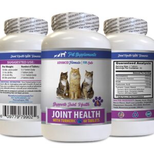 PET SUPPLEMENTS & NUTRITION LLC Joint Health for Cats - Cats Joint Health with Turmeric - MSM - Natural Support for Hip and Joints - glucosamine Monitors for Cats - 1 Bottle (60 Tablets)