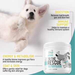 Probiotic Chews for Dogs, Support Digestive Health, Dog Probiotics and Digestive Enzymes, Dog Probiotic Chews, Probiotic Dogs, Puppy Probiotic, Pet Probiotics for Dogs - 120 Soft Chews