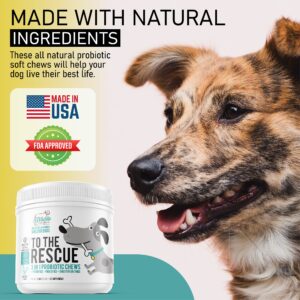 Probiotic Chews for Dogs, Support Digestive Health, Dog Probiotics and Digestive Enzymes, Dog Probiotic Chews, Probiotic Dogs, Puppy Probiotic, Pet Probiotics for Dogs - 120 Soft Chews