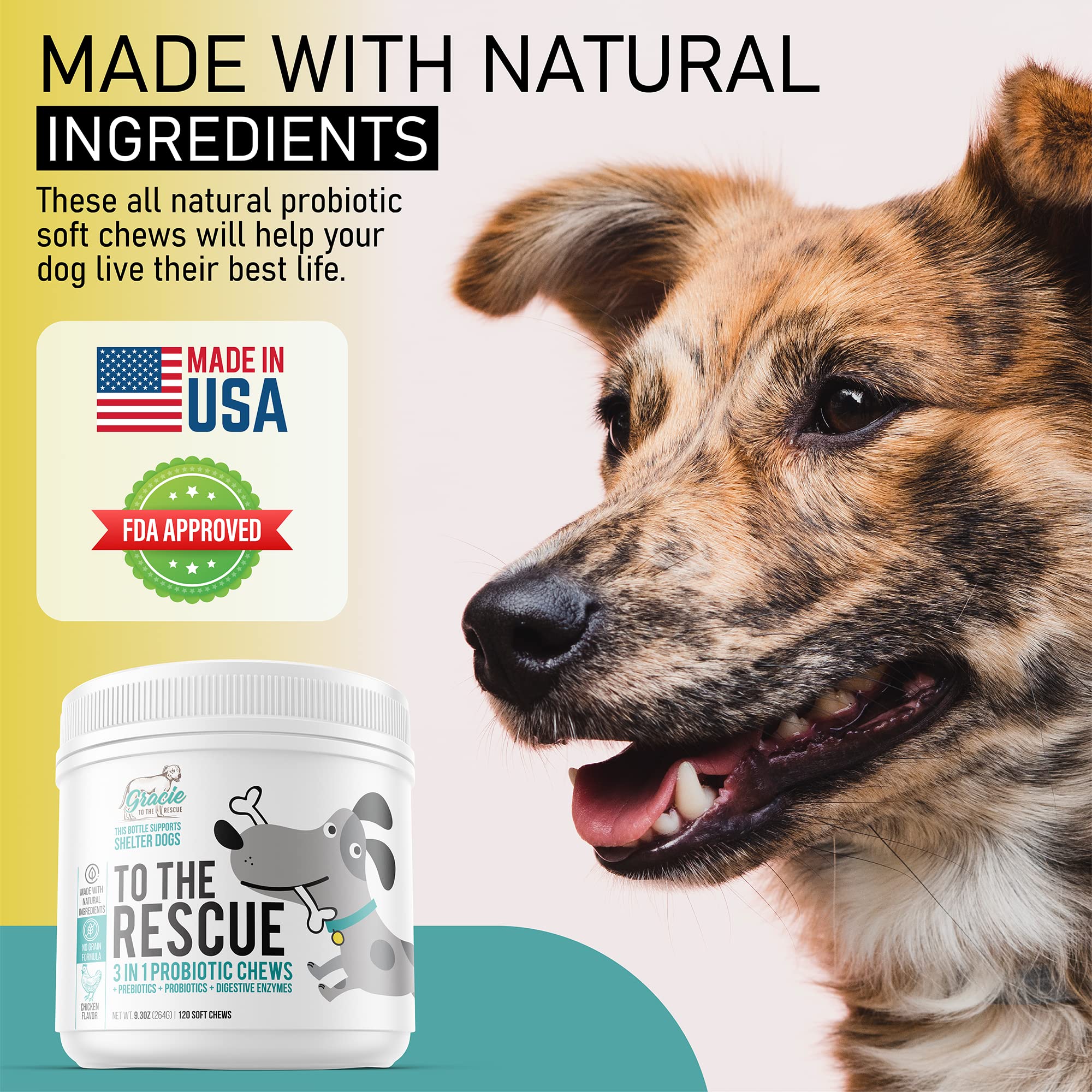 Probiotic Chews for Dogs, Support Digestive Health, Dog Probiotics and Digestive Enzymes, Dog Probiotic Chews, Probiotic Dogs, Puppy Probiotic, Pet Probiotics for Dogs - 120 Soft Chews