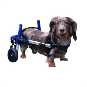 dachshund wheelchair - for small dogs 2-30+ pounds - veterinarian approved - dog wheelchair for back legs