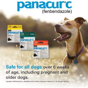 Panacur C Canine Dewormer, Net Wt. 12 Grams, Package Contents Three, 4 Gram Packets (4-(Pack))