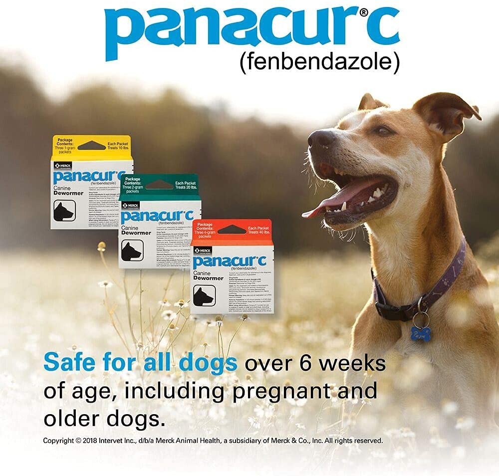 Panacur C Canine Dewormer, Net Wt. 12 Grams, Package Contents Three, 4 Gram Packets (4-(Pack))