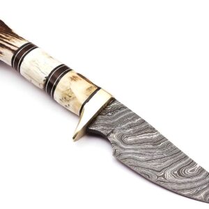 Skokie Knives Custom Hand Made Damascus Steel Hunting Knife Handle Stag Antler