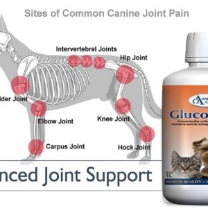 Omega Alpha Pets Performance and Mobility- GlucosaPet (1L)