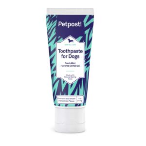 petpost | toothpaste for dogs - coconut oil and baking soda based dental gel that naturally eliminates bad breath - dirt, gunk, and tooth buildup gone - mint flavor 4 oz.