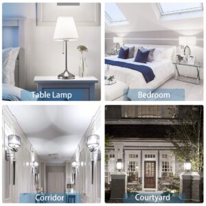 A21 Daylight Super Bright LED Light Bulbs 23 Watt, 150 Watt LED Bulb Equivalent, 5000K at 2500 Lumens, Standard Light Bulbs E26 Base, Home/Office Interior Frosted Decor Lights, Non-Dimmable (4-Pack)