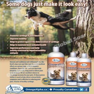 Omega Alpha Pets Performance and Mobility- GlucosaPet (1L)