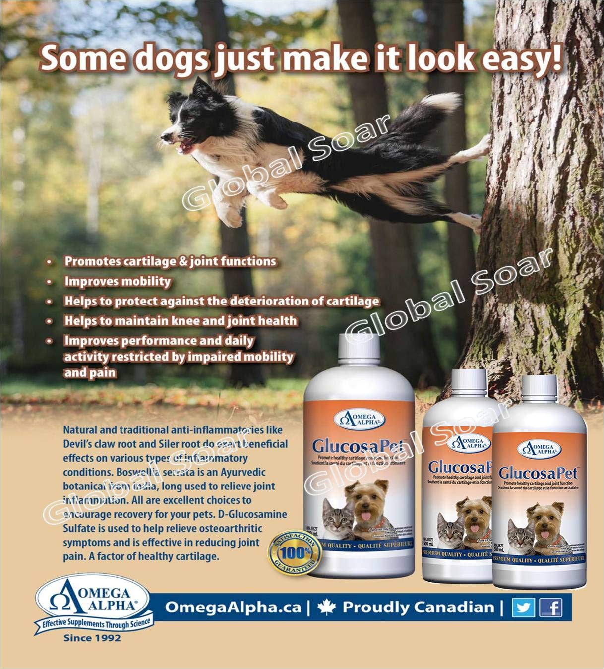 Omega Alpha Pets Performance and Mobility- GlucosaPet (1L)