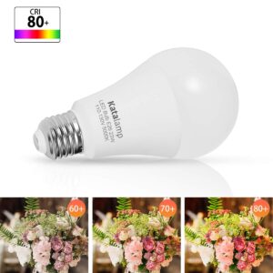 A21 Daylight Super Bright LED Light Bulbs 23 Watt, 150 Watt LED Bulb Equivalent, 5000K at 2500 Lumens, Standard Light Bulbs E26 Base, Home/Office Interior Frosted Decor Lights, Non-Dimmable (4-Pack)