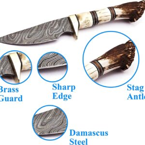 Skokie Knives Custom Hand Made Damascus Steel Hunting Knife Handle Stag Antler