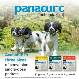 Panacur C Canine Dewormer, Net Wt. 12 Grams, Package Contents Three, 4 Gram Packets (4-(Pack))