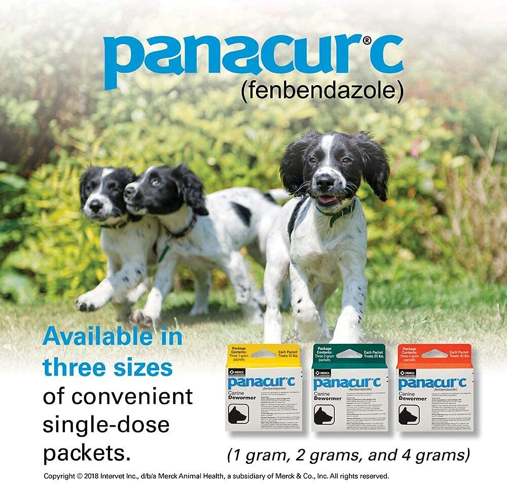 Panacur C Canine Dewormer, Net Wt. 12 Grams, Package Contents Three, 4 Gram Packets (4-(Pack))