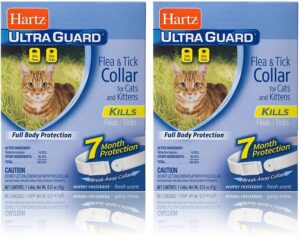 hartz ultra guard flea and tick for cat and kitten collar (2-pack)