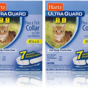 Hartz Ultra Guard Flea and Tick for Cat and Kitten Collar (2-Pack)