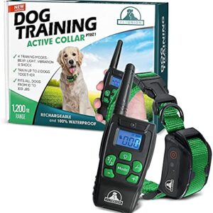 Pet Union PT0Z1 Premium Training Shock Collar for Dogs with Remote - Fully Waterproof, 4 Adjustable Training Modes - Shock, Vibration, Beep - Up to 1200ft Range