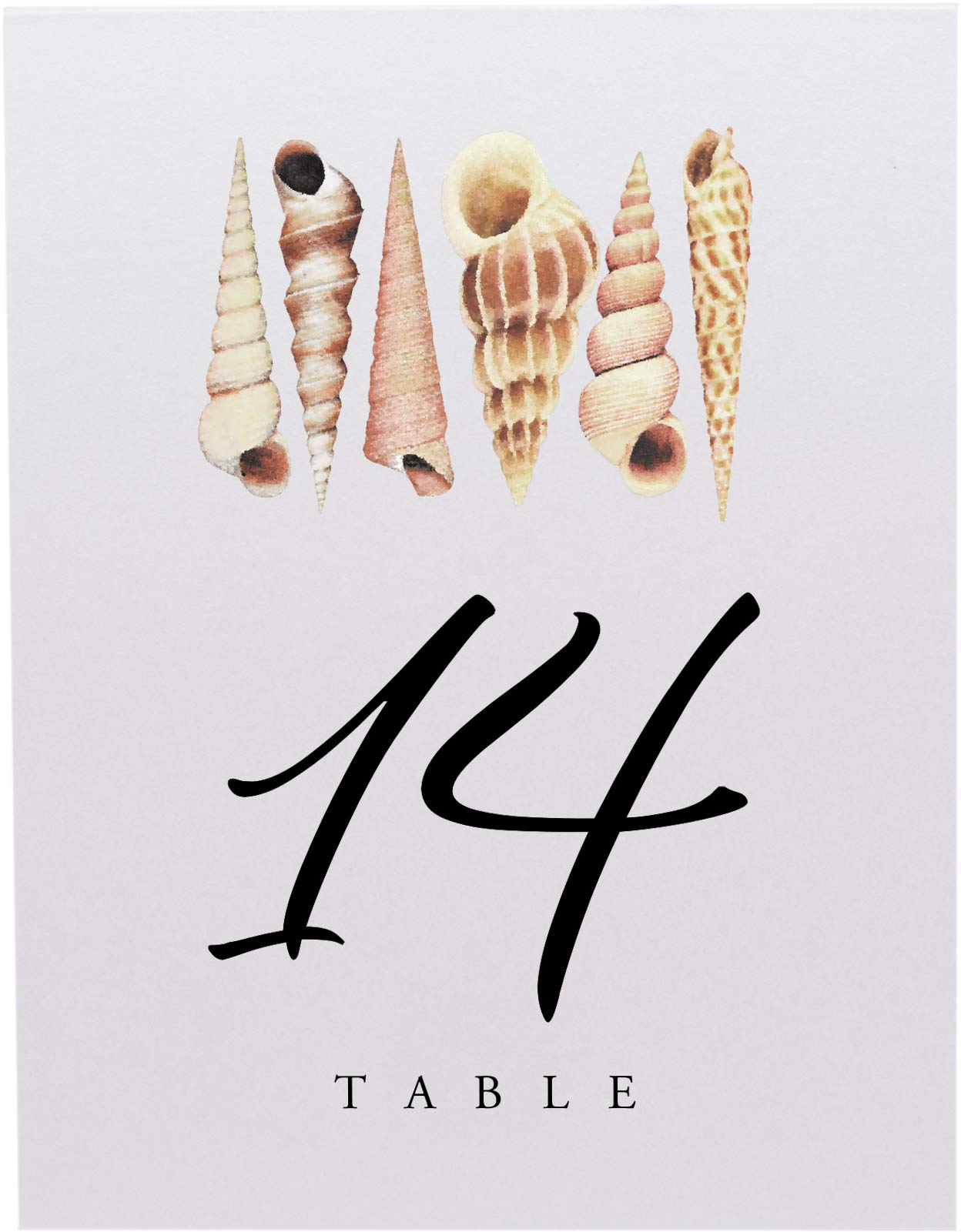 Seashell Pattern Wedding Table Numbers (Select Quantity), White, 1-10, Double Sided, Tent or Use in a Stand, Great for Parties & Restaurants - Made in the USA