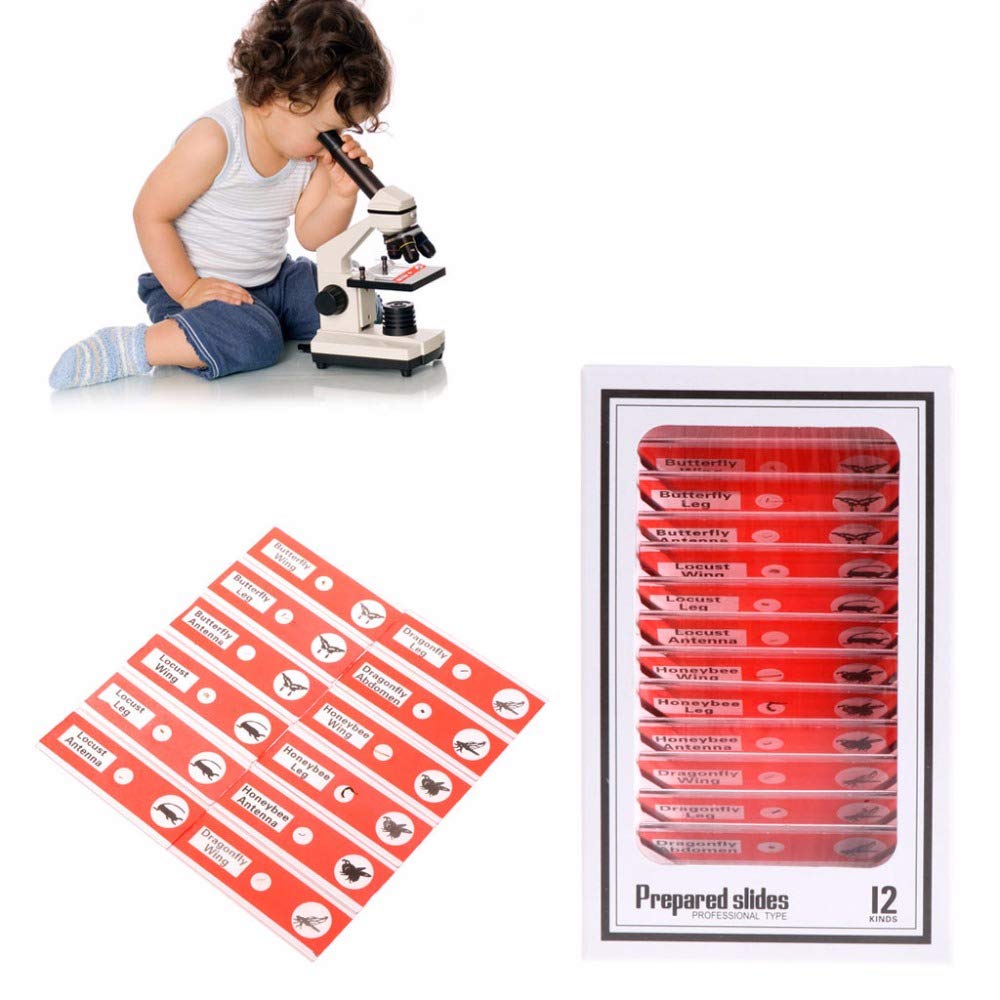 Bysameyee Prepared Microscope Slides for Kids, 48pcs Plastic Animals Insects Plants Flowers Sample Specimens for Students Children Homeschooling Biology Science Programs