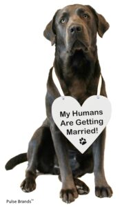 pulse brands engagement photo prop sign - my humans are getting married - engagement gifts - bride to be - engaged - engagement gifts for couples (white)