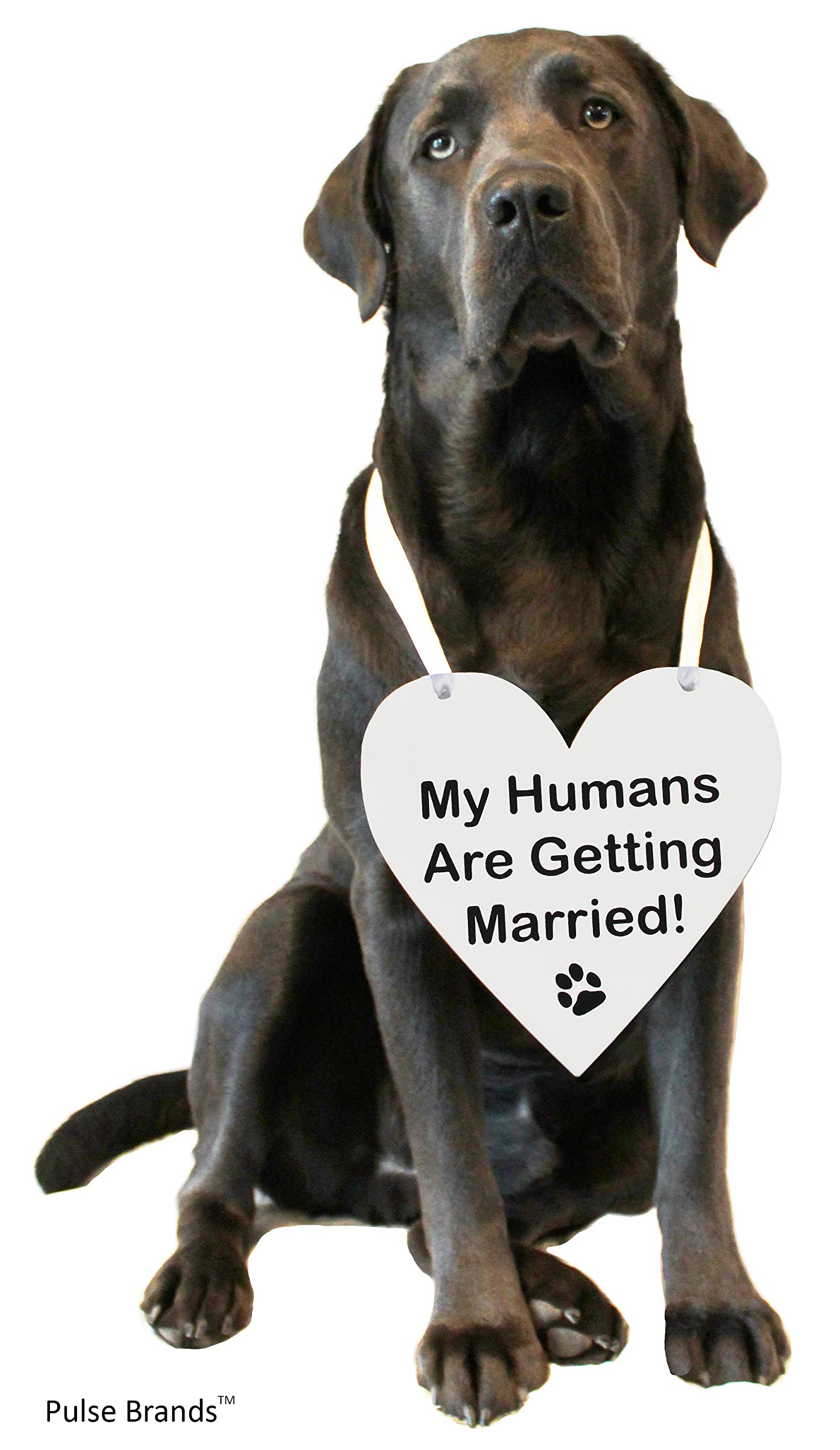 Pulse Brands Engagement Photo Prop Sign - My Humans are Getting Married - Engagement Gifts - Bride to Be - Engaged - Engagement Gifts for Couples (White)