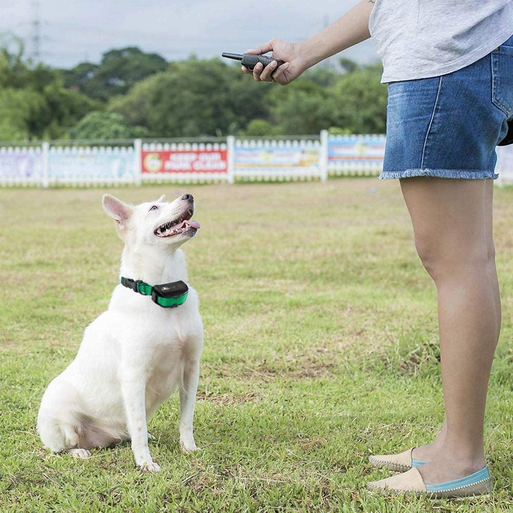 Pet Union PT0Z1 Premium Training Shock Collar for Dogs with Remote - Fully Waterproof, 4 Adjustable Training Modes - Shock, Vibration, Beep - Up to 1200ft Range