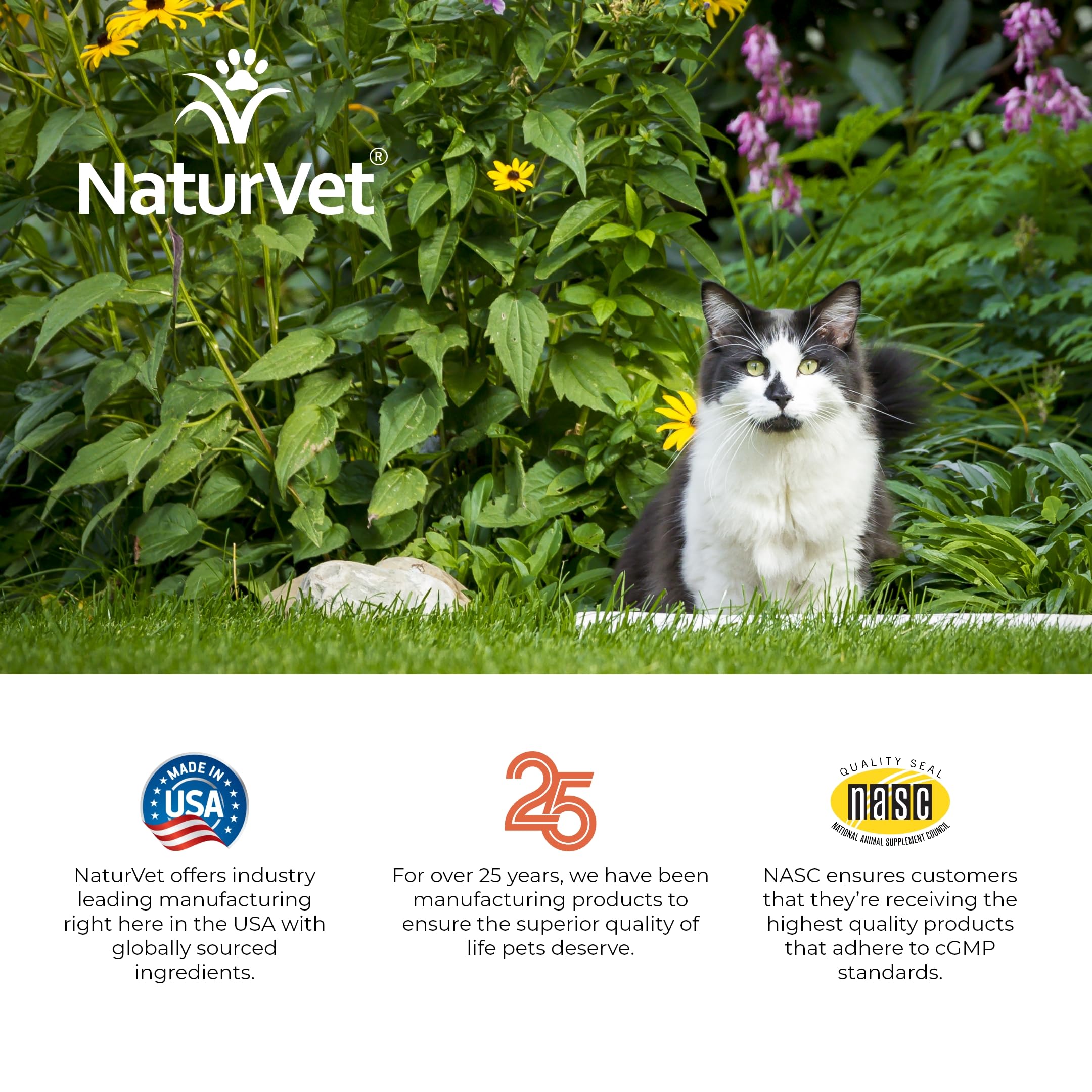 NaturVet Hemp Allergy Aid Plus Hemp Seed Soft Chews for Cats, 60 ct, Made in The USA