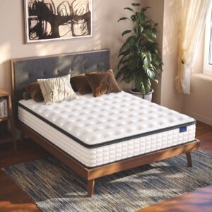 Vesgantti Twin Mattress, 10 Inch Hybrid Twin Size Mattress in a Box, Single Bed Pillow Top Mattress, Foam and Pocket Coils Innerspring Mattresses, Pressure Relief, Medium Firm Feel