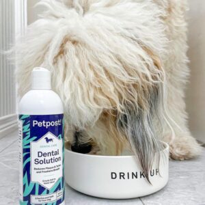 Petpost | Dental Solution for Dogs - Water Additive That Eliminates Bad Breath - Dirt, Gunk, and Tooth Buildup Gone - Natural Tooth Cleaning Solution 16 oz.