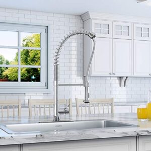 Ancona Le Bistro Pull-down Kitchen Faucet in Polished Chrome