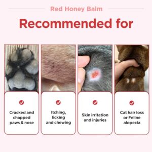 JAYU PET Red Honey Balm - Long Lasting Dog Cat Skin Nose Paw Wax Balm, Anti Slip & Help Reduce Licking, Dry Cracked Chapped Pad Soothing Butter, Pet Hotspots Itchy Allergy Relief Moisturizer 0.5 oz.