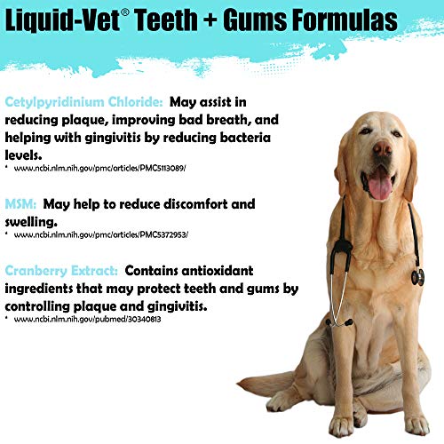 Liquid-Vet Advanced Teeth & Gums Supplements for Dogs | Dental Care for Dogs | Oral Mouth Care | Tartar + Plaque + Gingivitis