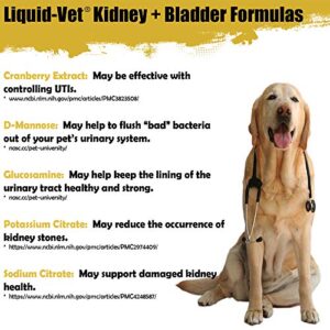 Liquid-Vet by COOL PET Holistics Feline Kidney & Bladder Advanced Formula, Seafood Flavor, 8 oz