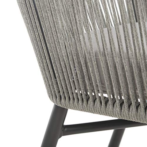 SAFAVIEH Outdoor Collection Nicolo Grey Rope Chair (Set of 2)