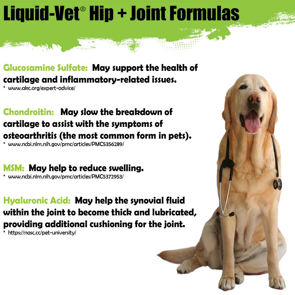 Liquid-Vet by COOL PET Holistics Feline Hip & Joint Advanced Formula, Chicken Flavor, 8 oz