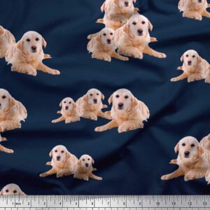 Soimoi Cotton Cambric Blue Fabric - by The Yard - 42 Inch Wide - Golden Retriever Dog Print Fabric - Warm and Friendly Designs for Pet-Adoring Homes Printed Fabric