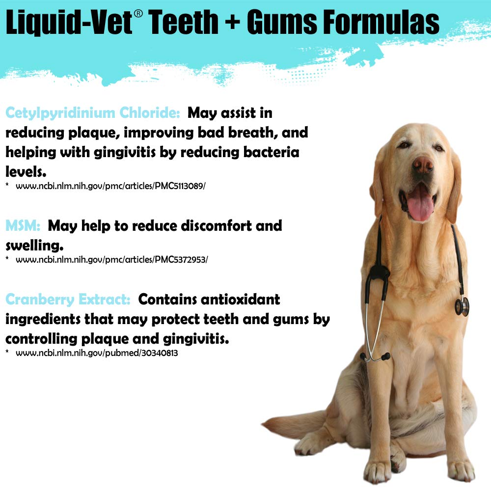 Liquid-Vet Advanced Teeth & Gums Supplements for Dogs | Dental Care for Dogs | Oral Mouth Care | Tartar + Plaque + Gingivitis