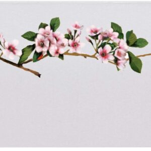 Pink Cherry Blossoms Place Cards, Set of 60, Pre-cut and Scored - Wedding, Party, Dinner, and Special Events - Made in the USA