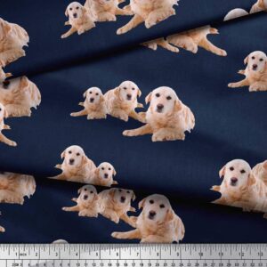 Soimoi Cotton Cambric Blue Fabric - by The Yard - 42 Inch Wide - Golden Retriever Dog Print Fabric - Warm and Friendly Designs for Pet-Adoring Homes Printed Fabric