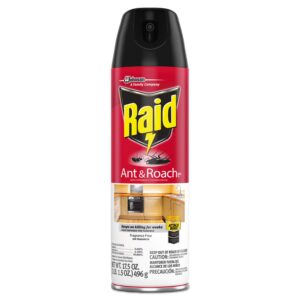 fragrance free ant & roach killer, 17.5 oz aerosol can, 12/carton [ess]