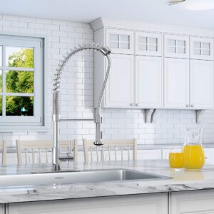 Ancona Le Bistro Pull-down Kitchen Faucet in Polished Chrome