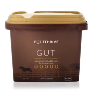 equithrive horse gut pellets with probiotics, psyllium husk powder, sodium bicarbonate and omega 3 fatty acids, digestive support supplement, 3.3 lbs