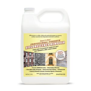 smart 'n easy efflorescence remover - heavy duty professional strength formula - removes the toughest salt, calcium, and magnesium deposits from concrete, brick, stucco, pavers, & more - 1 gallon