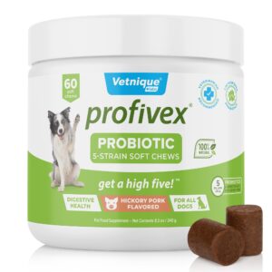 vetnique labs profivex probiotics for dogs all natural dog chews & powder for digestive health probiotic supplements for dogs 5 strains of probiotics & prebiotics (soft chews, 60ct)