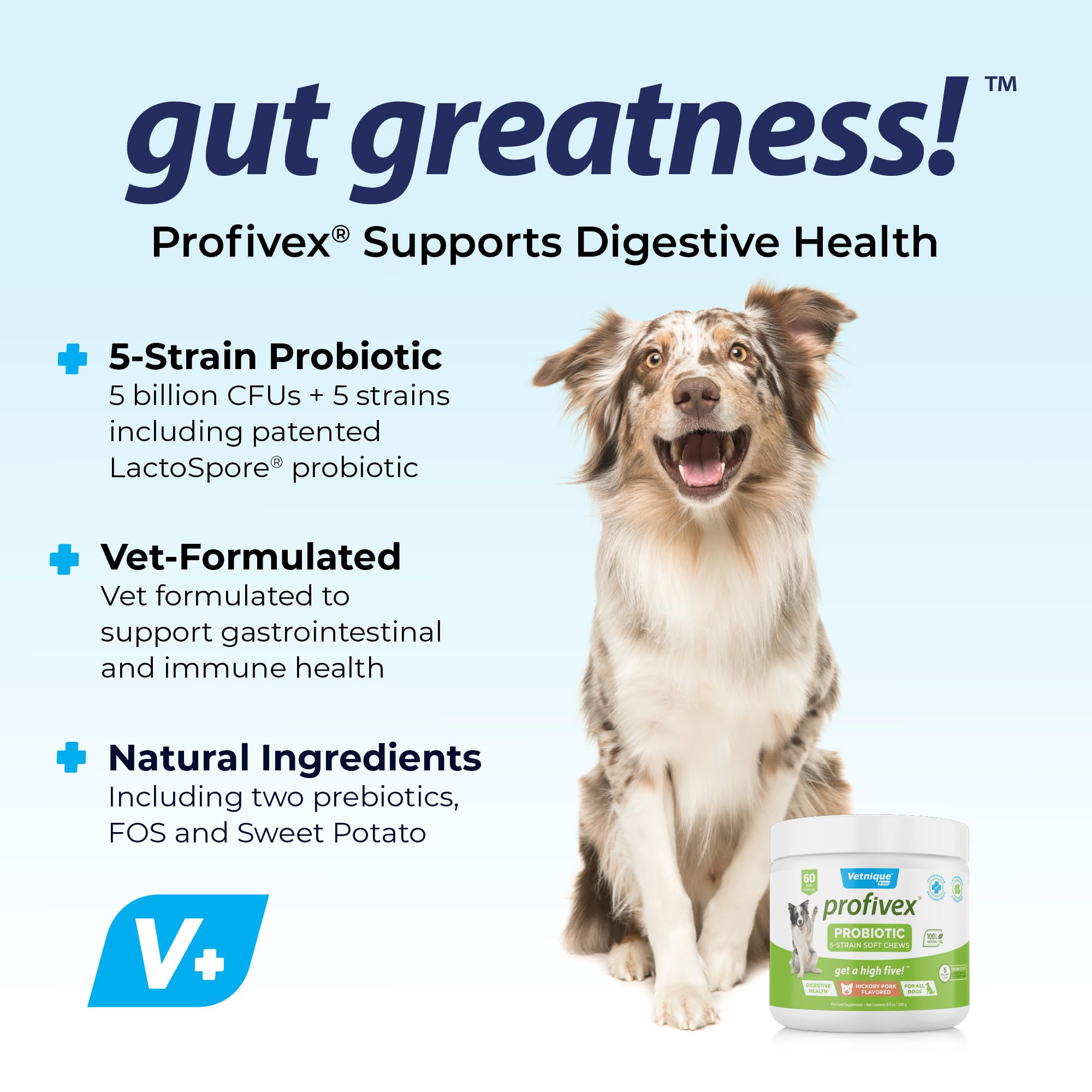 Vetnique Labs Profivex Probiotics for Dogs All Natural Dog Chews & Powder for Digestive Health Probiotic Supplements for Dogs 5 Strains of Probiotics & Prebiotics (Soft Chews, 60ct)