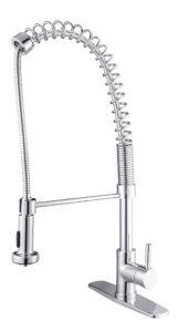 ancona le bistro pull-down kitchen faucet in polished chrome