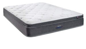 richmond 11” euro top waterbed replacement mattress, super single drop in, firm, designed to fit inside a waterbed frame