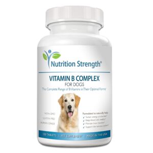 nutrition strength vitamin b for dogs, complete b complex for dogs, promote blood cell & nervous system health, help sustain cellular energy production & maintain brain function, 120 chewable tablets