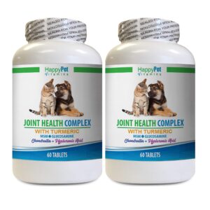 Dog Skin and Coat Supplements - PET Joint Health Complex with Turmeric - Dogs and Cats - MSM GLUCOSAMINE - Immune Boost - Dog Vitamins Senior Chews - 2 Bottles (120 Tablets)